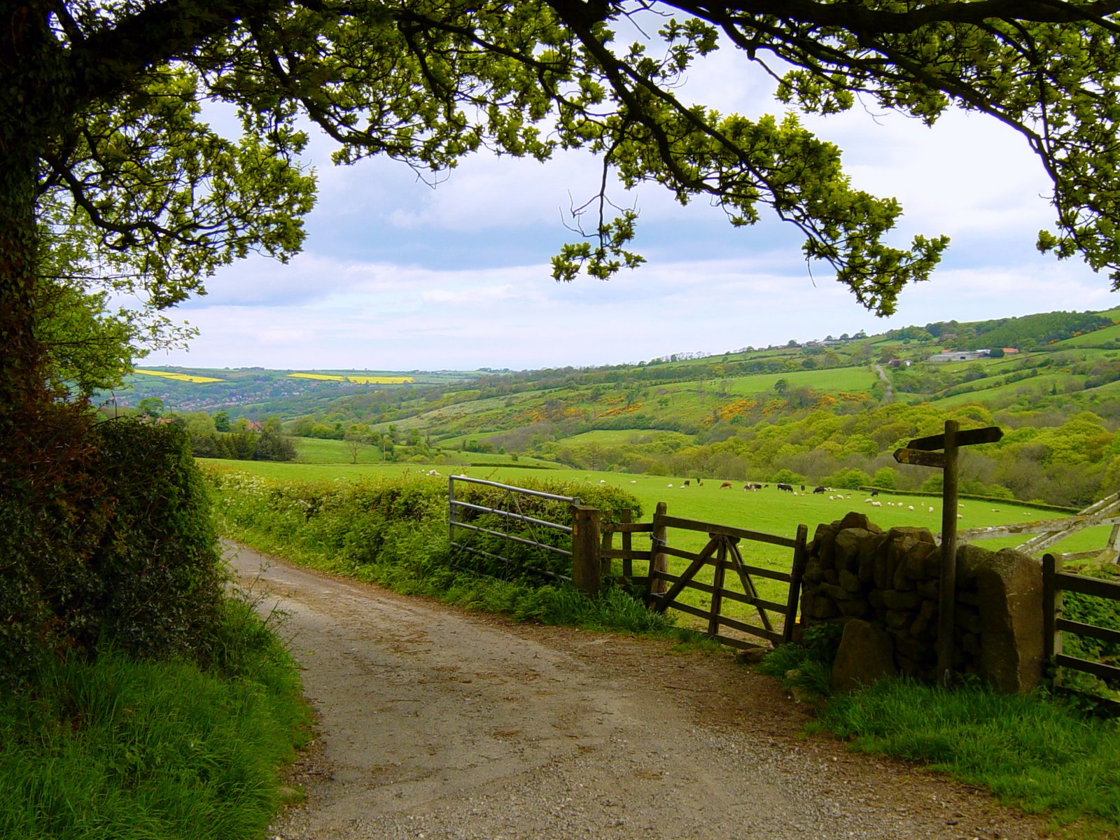 Gallery – Intake Farm