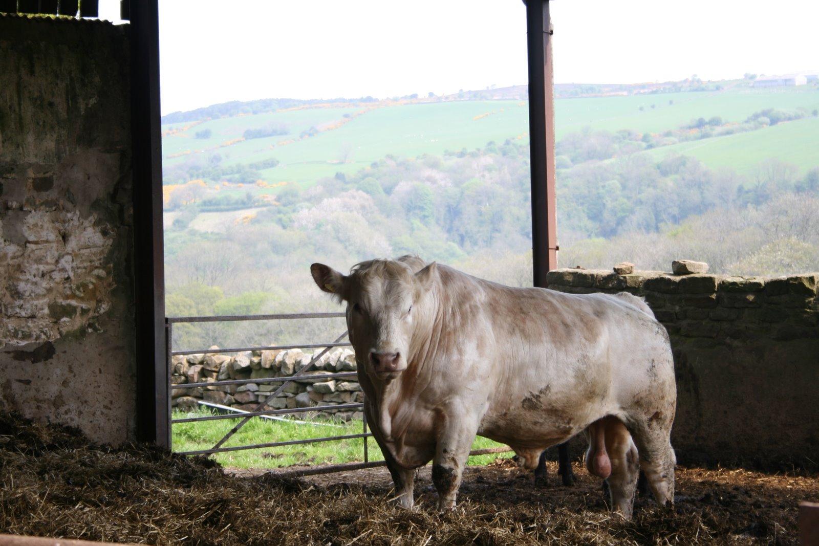 Gallery – Intake Farm