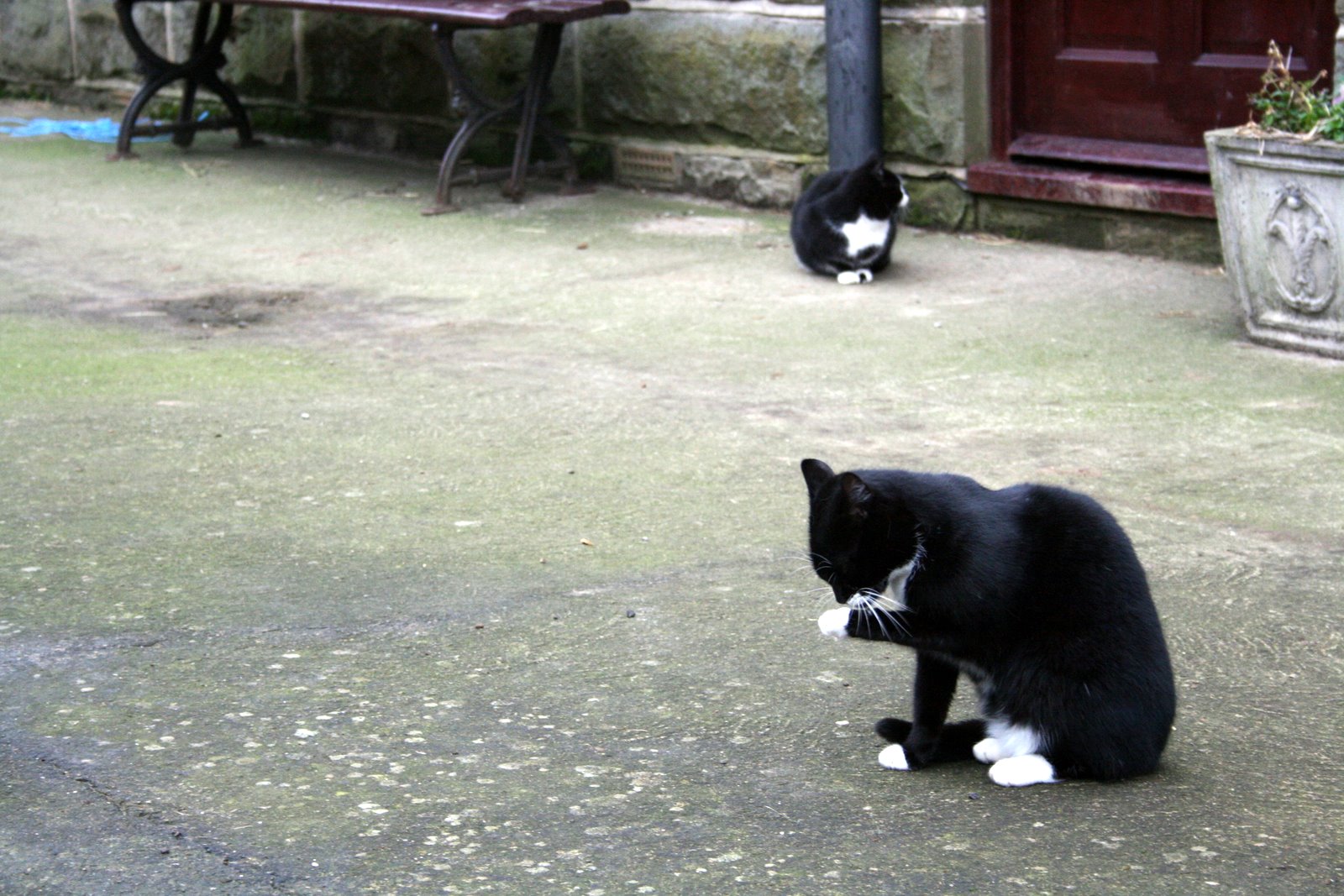 Gallery – Intake Farm