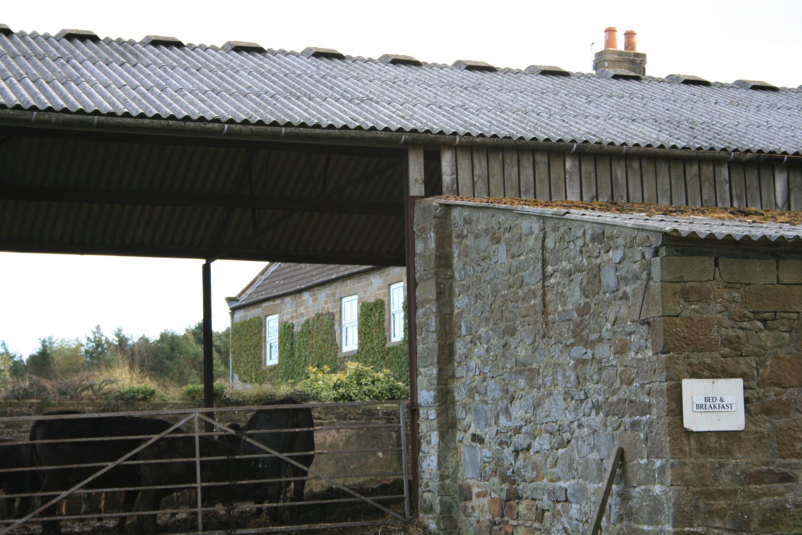 Gallery – Intake Farm