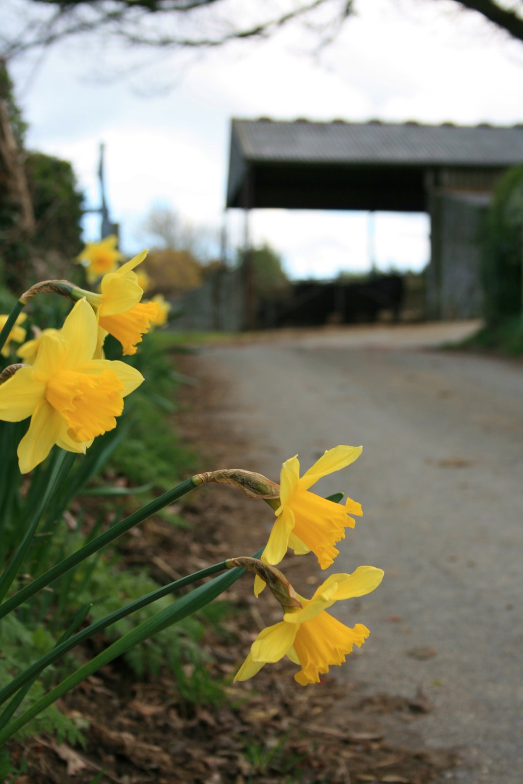 Gallery – Intake Farm