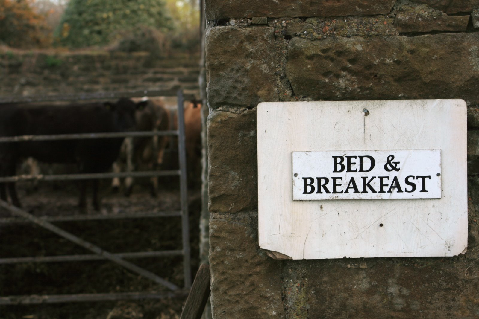 Gallery – Intake Farm