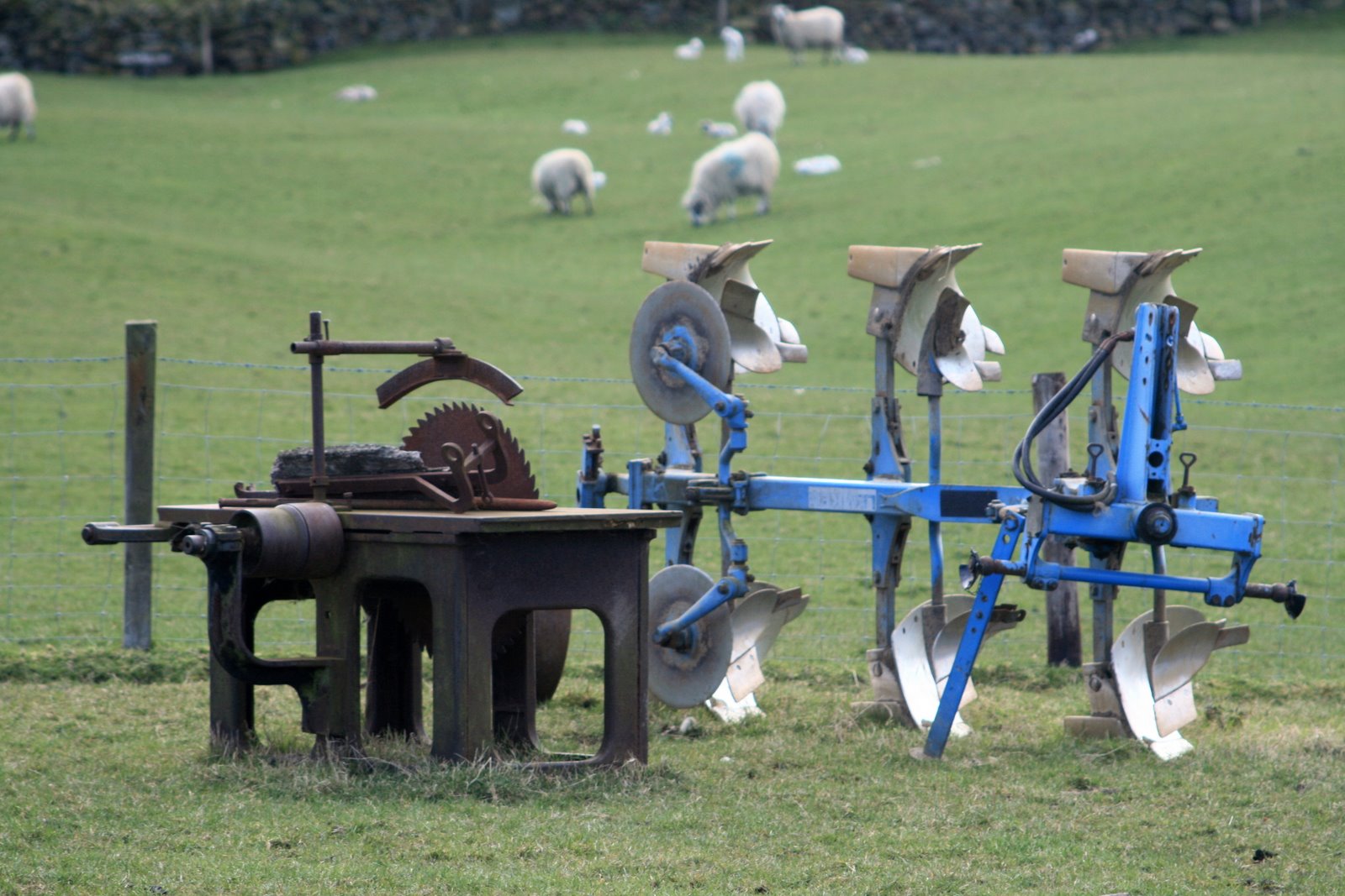 Gallery – Intake Farm