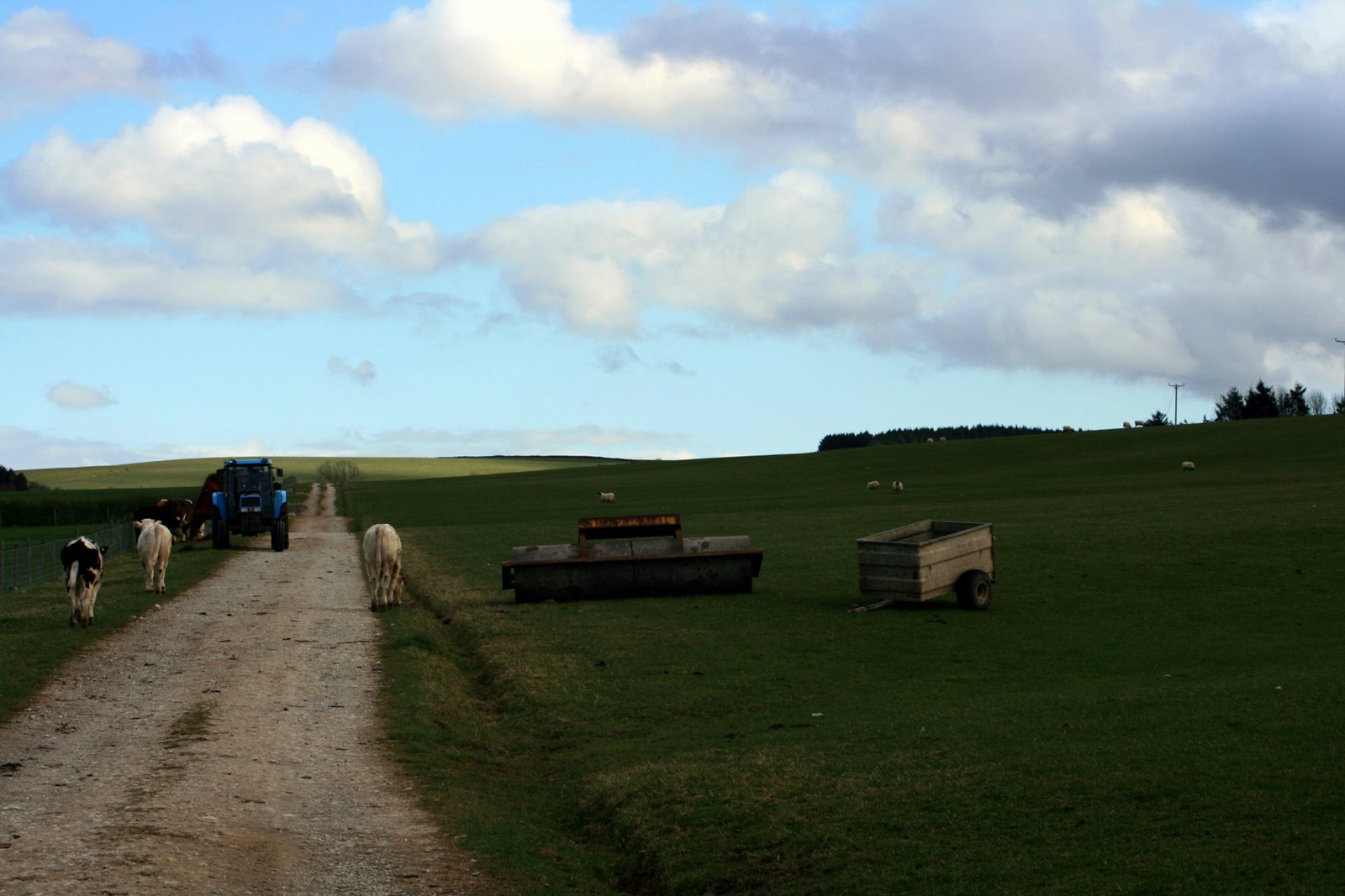 Gallery – Intake Farm