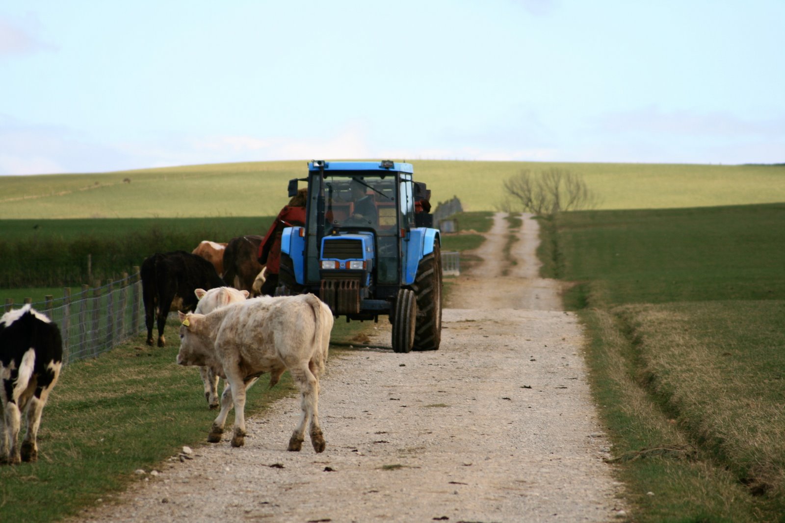 Gallery – Intake Farm