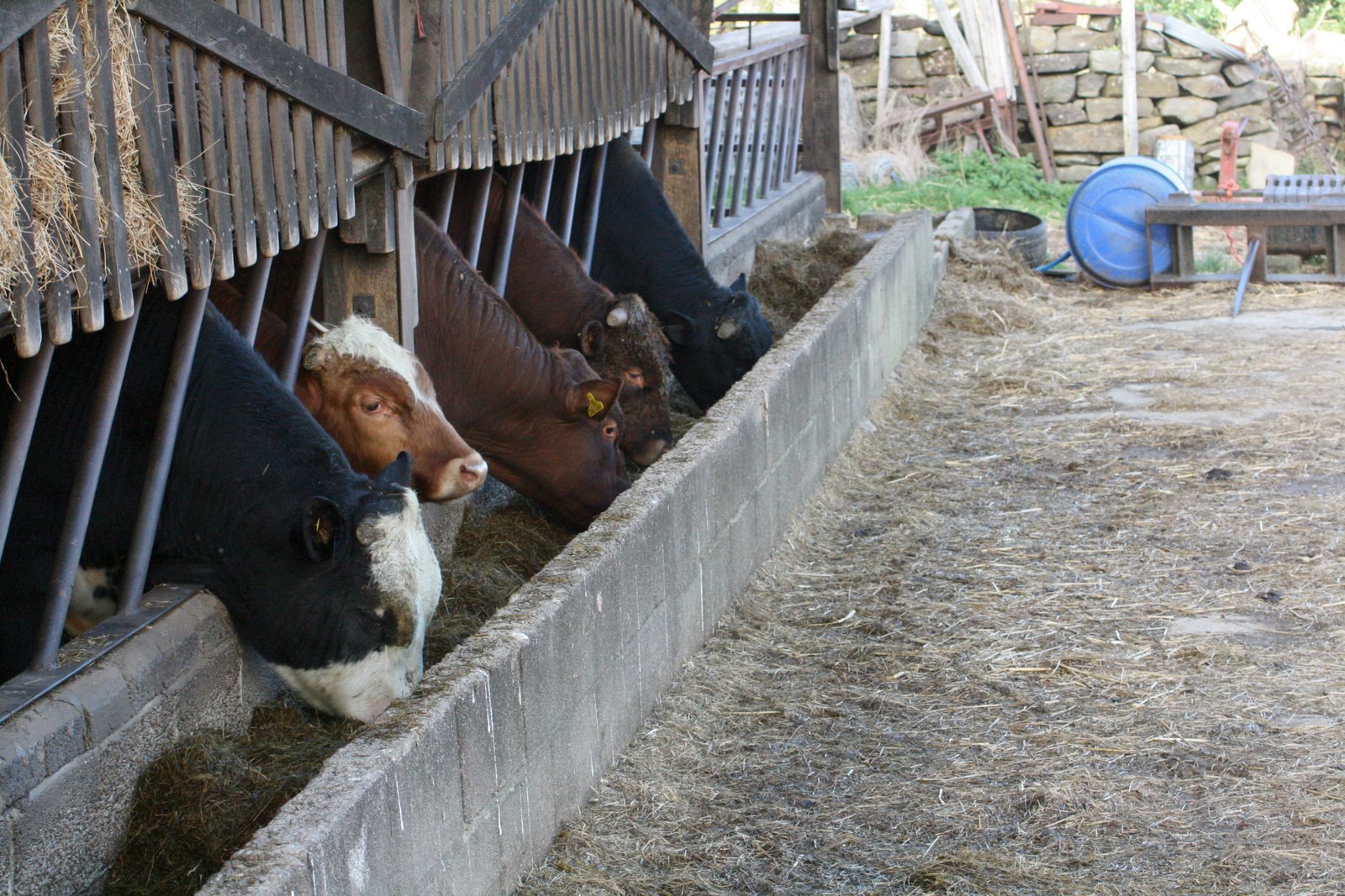 Gallery – Intake Farm