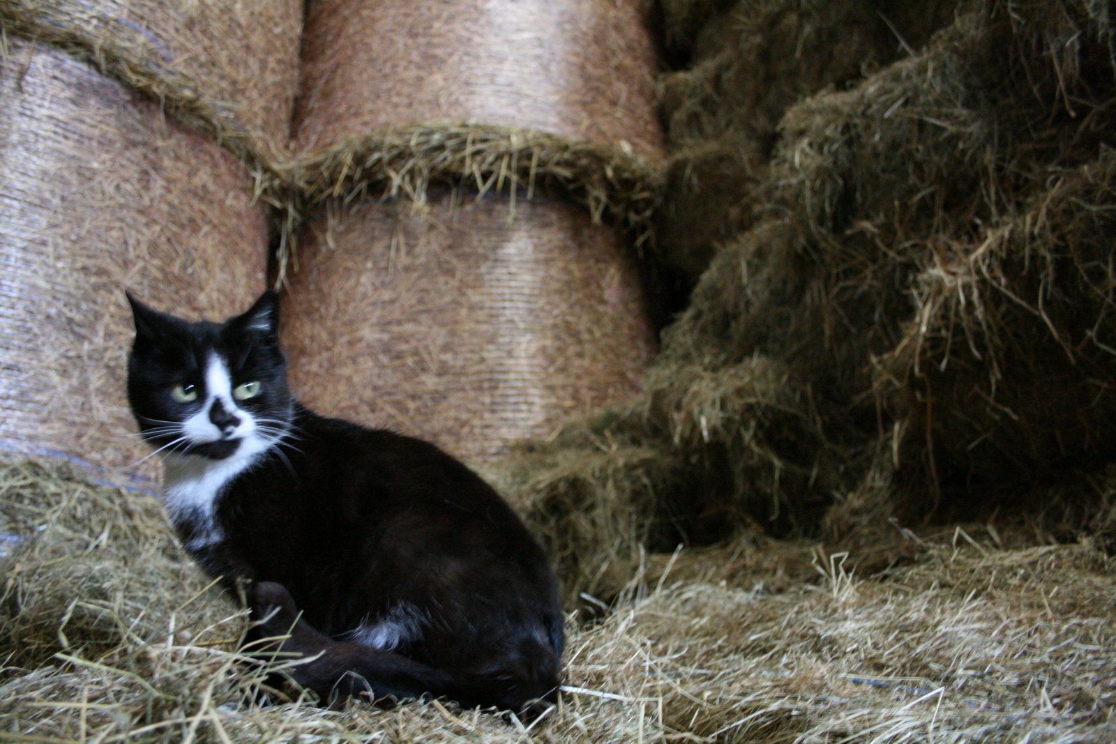 Gallery – Intake Farm