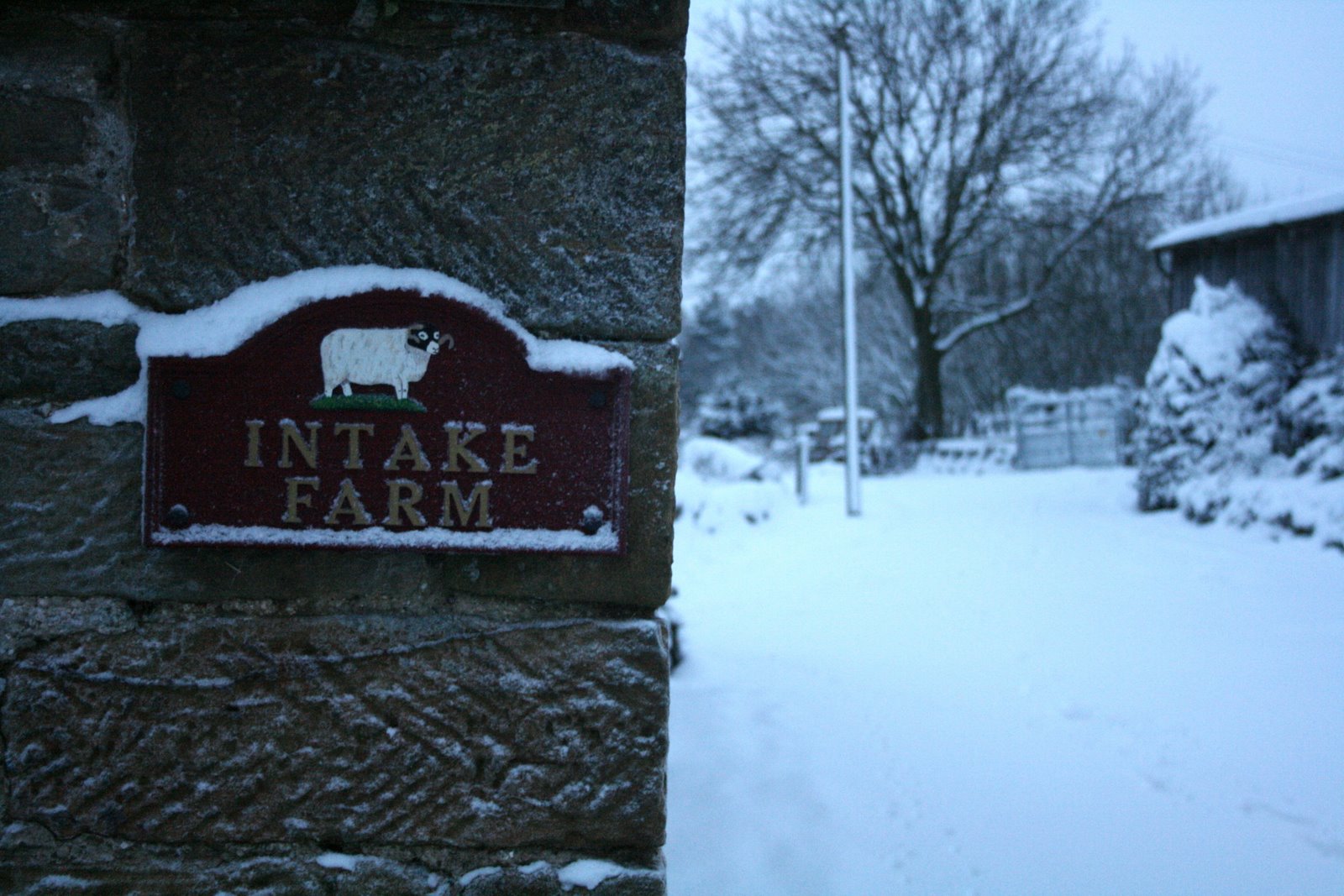 Gallery – Intake Farm