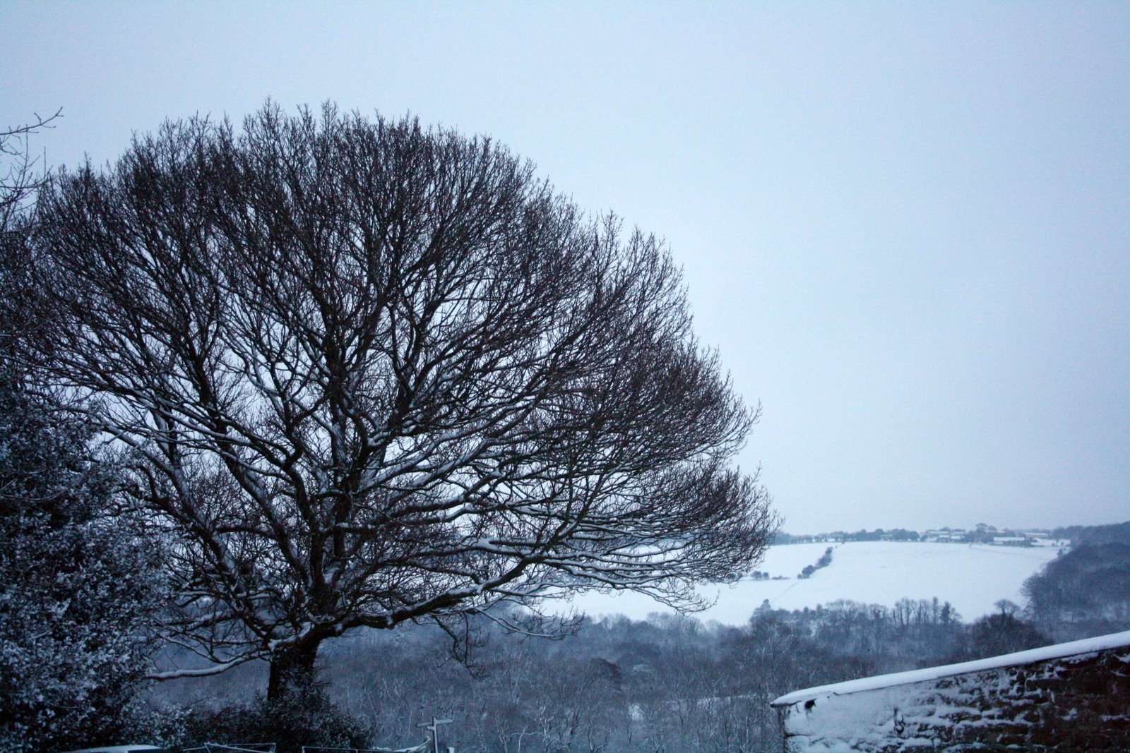 Gallery – Intake Farm