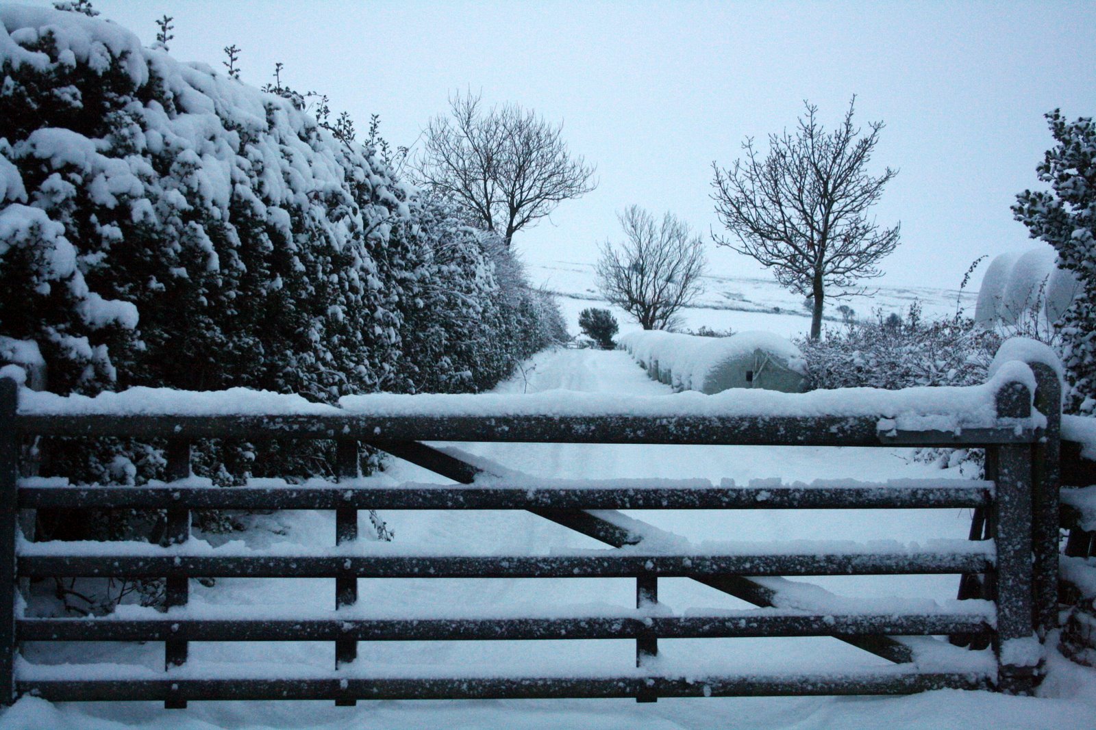 Gallery – Intake Farm