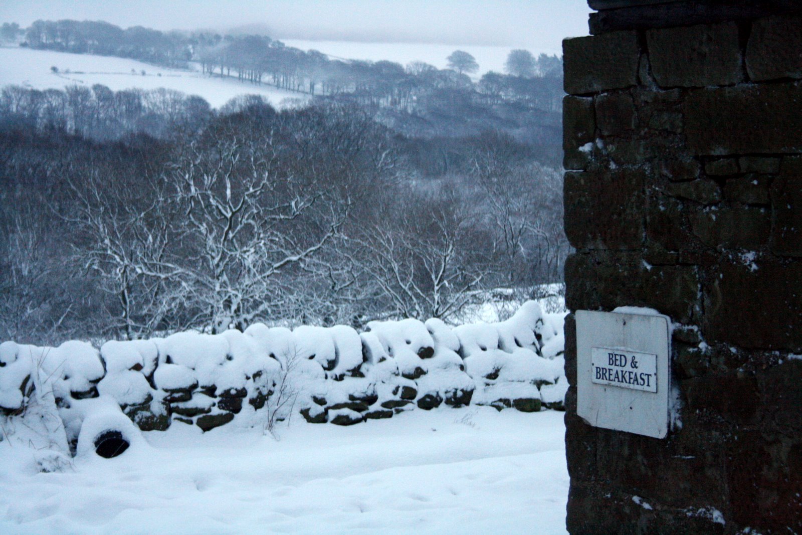 Gallery – Intake Farm