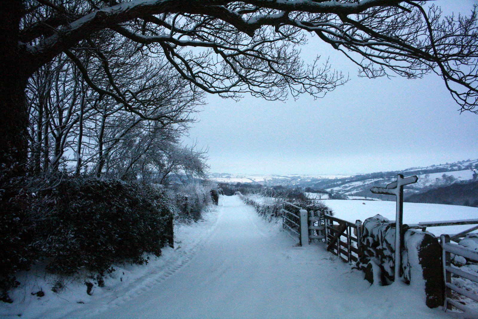 Gallery – Intake Farm