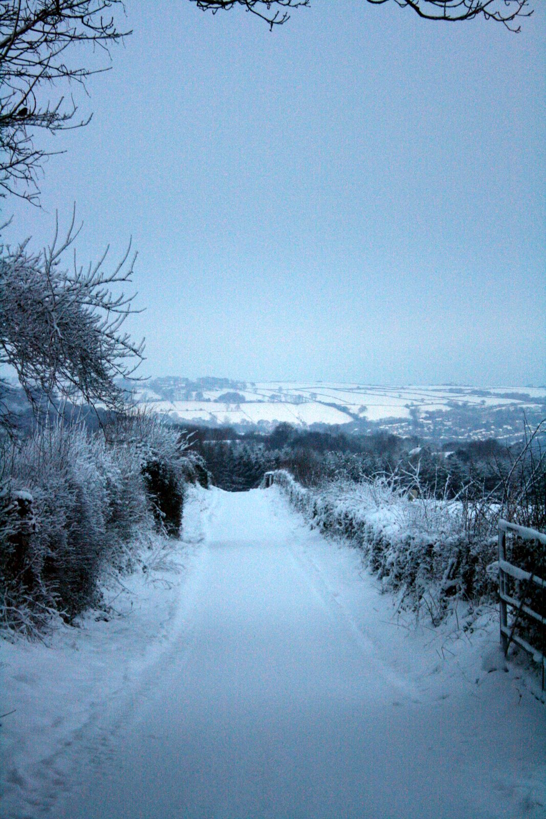 Gallery – Intake Farm