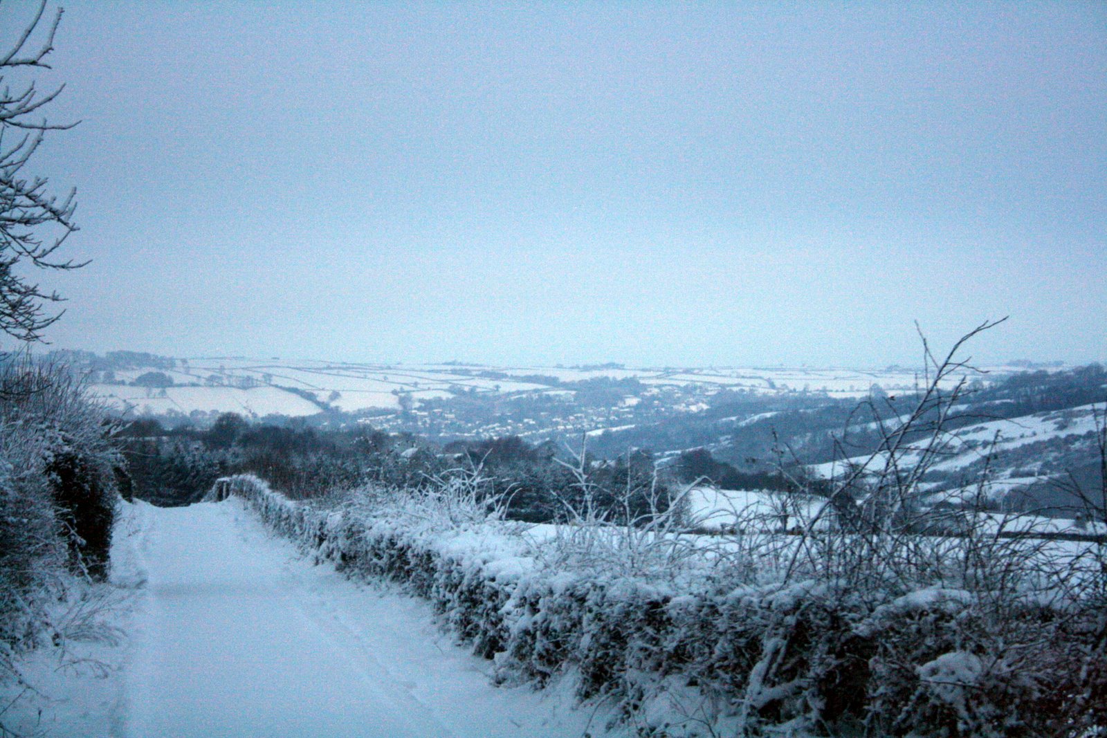 Gallery – Intake Farm