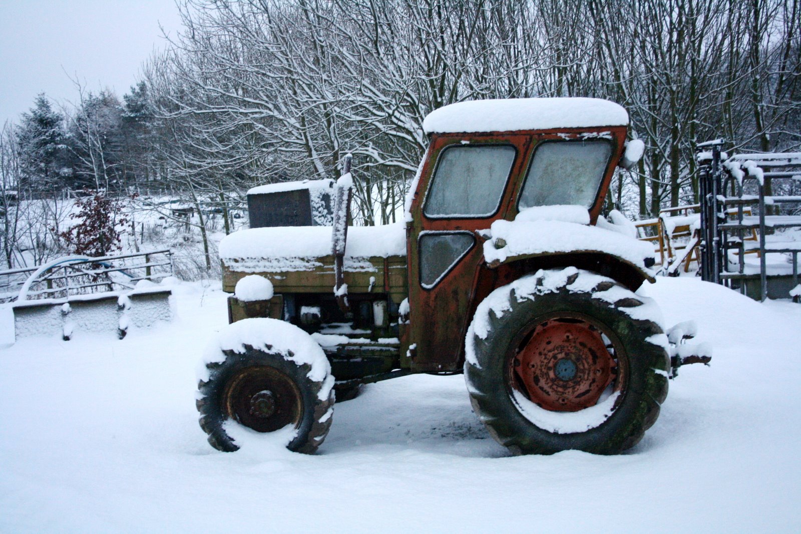 Gallery – Intake Farm