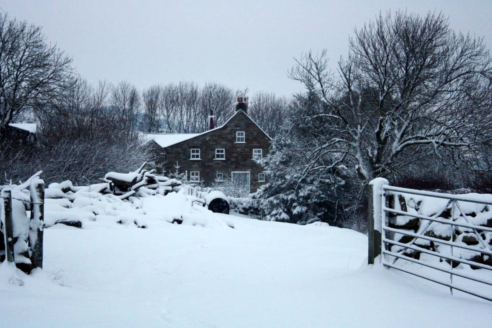 Gallery – Intake Farm