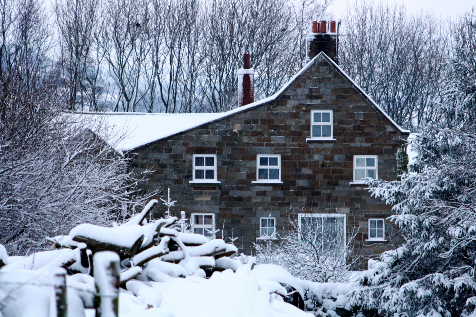 Gallery – Intake Farm