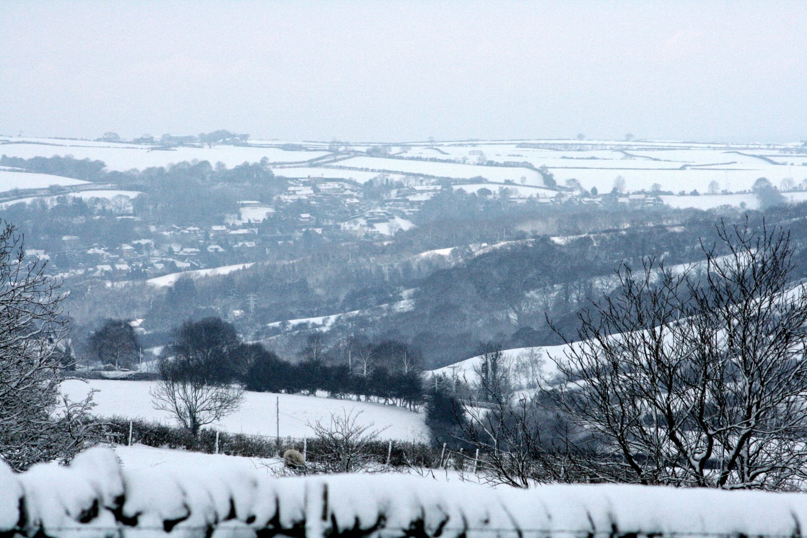 Gallery – Intake Farm