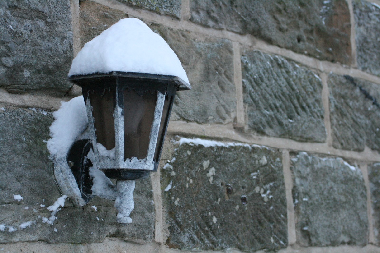 Gallery – Intake Farm