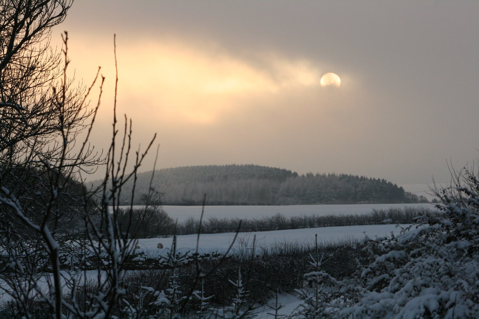 Gallery – Intake Farm