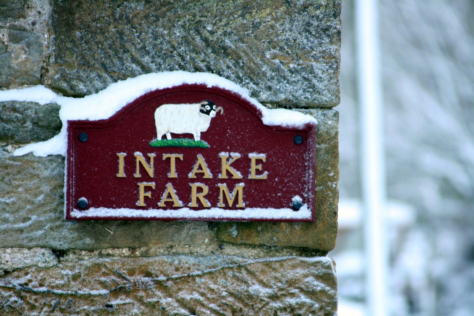 Gallery – Intake Farm