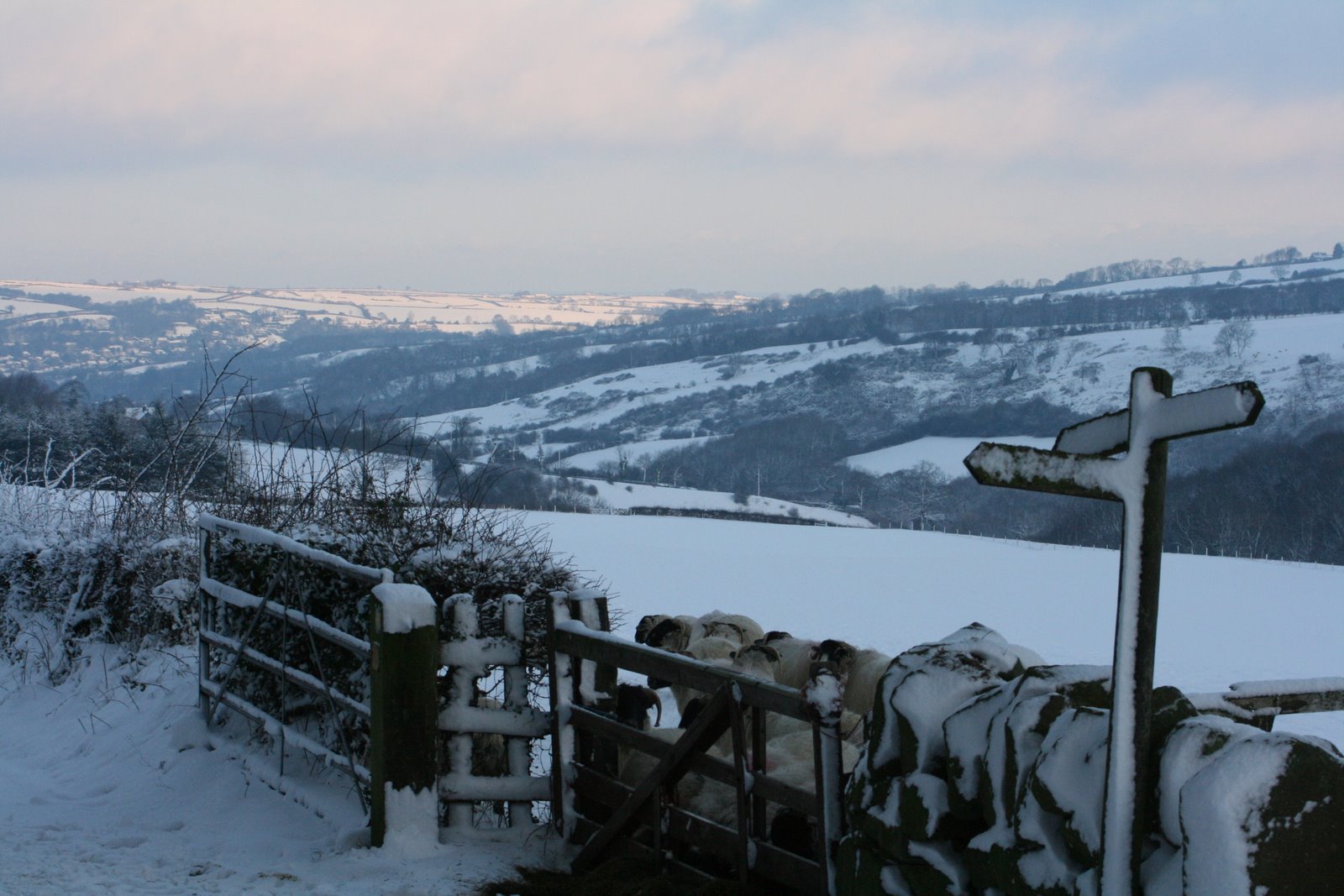 Gallery – Intake Farm