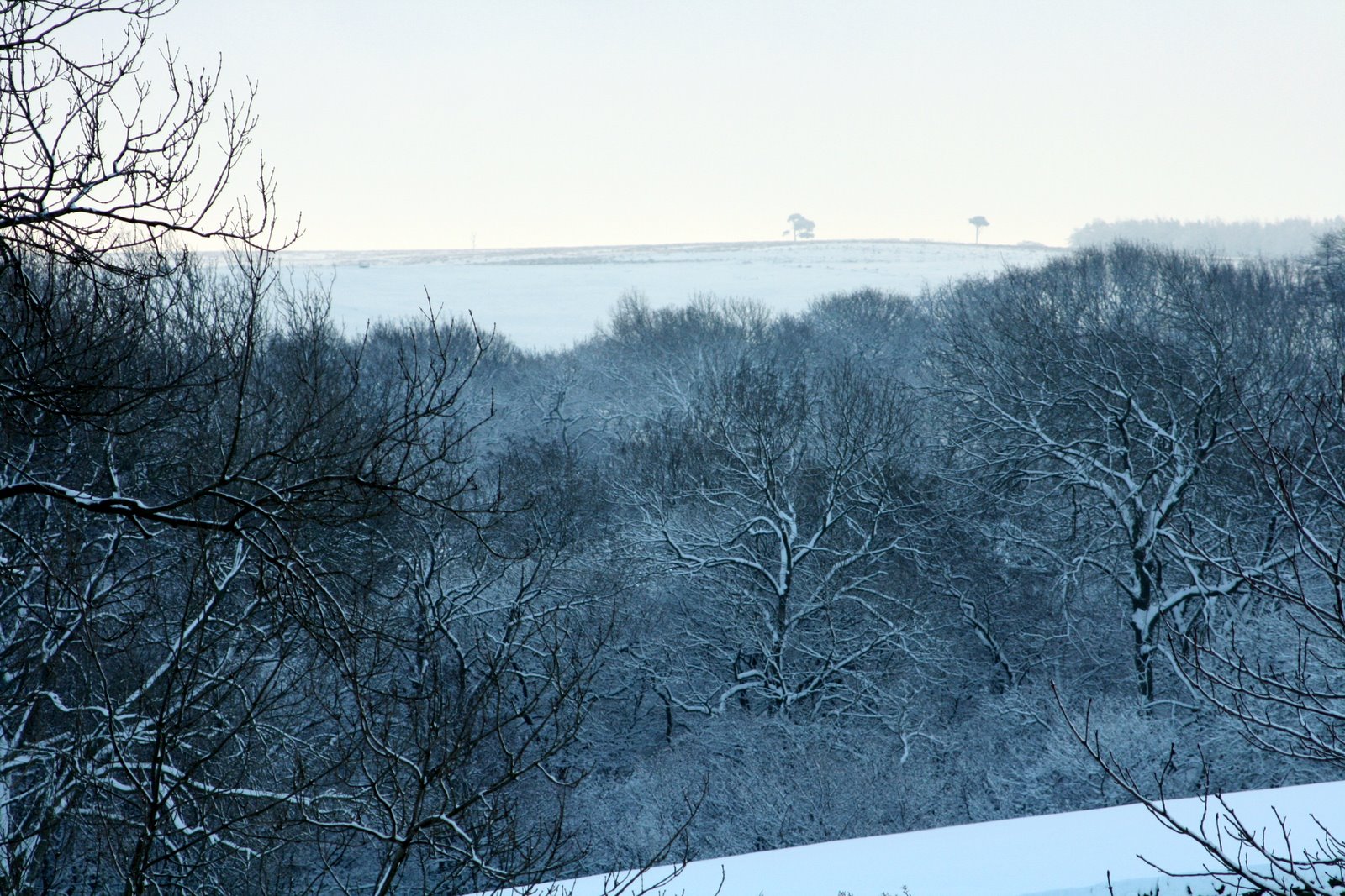 Gallery – Intake Farm