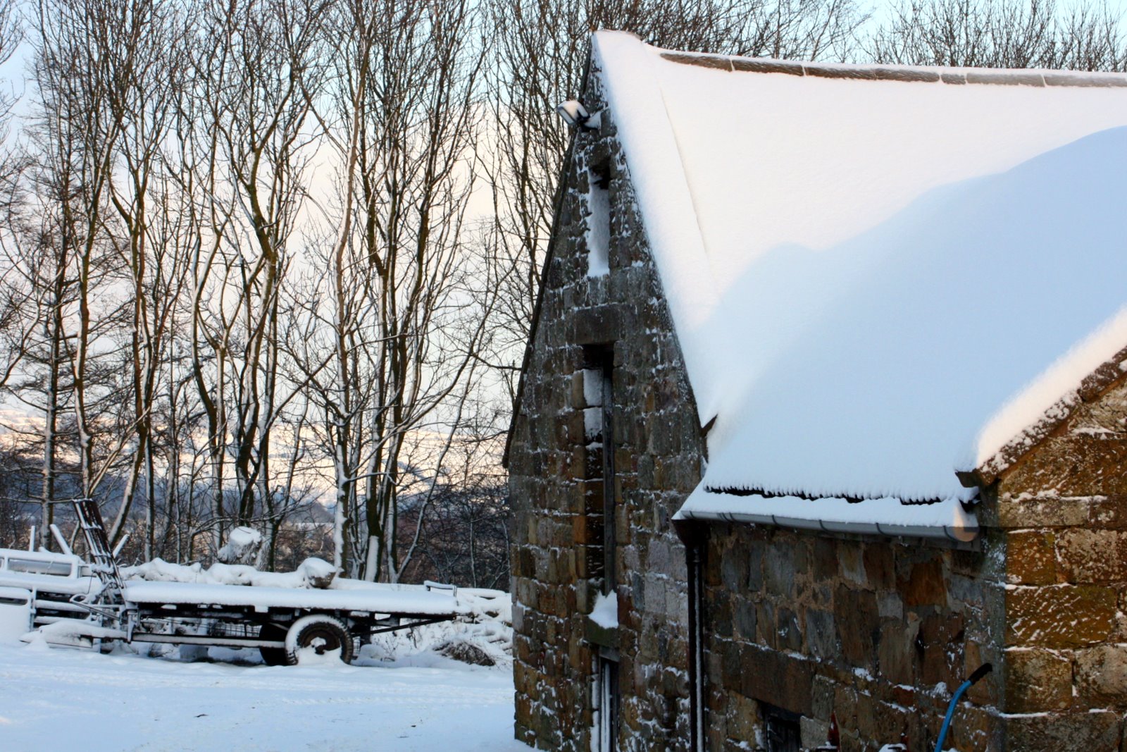 Gallery – Intake Farm