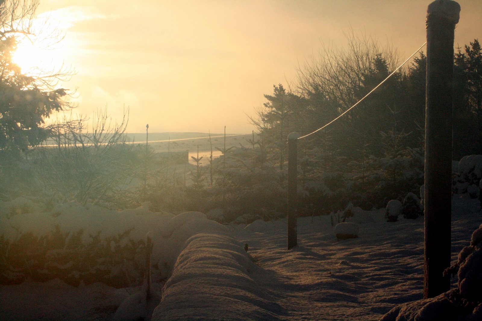 Gallery – Intake Farm