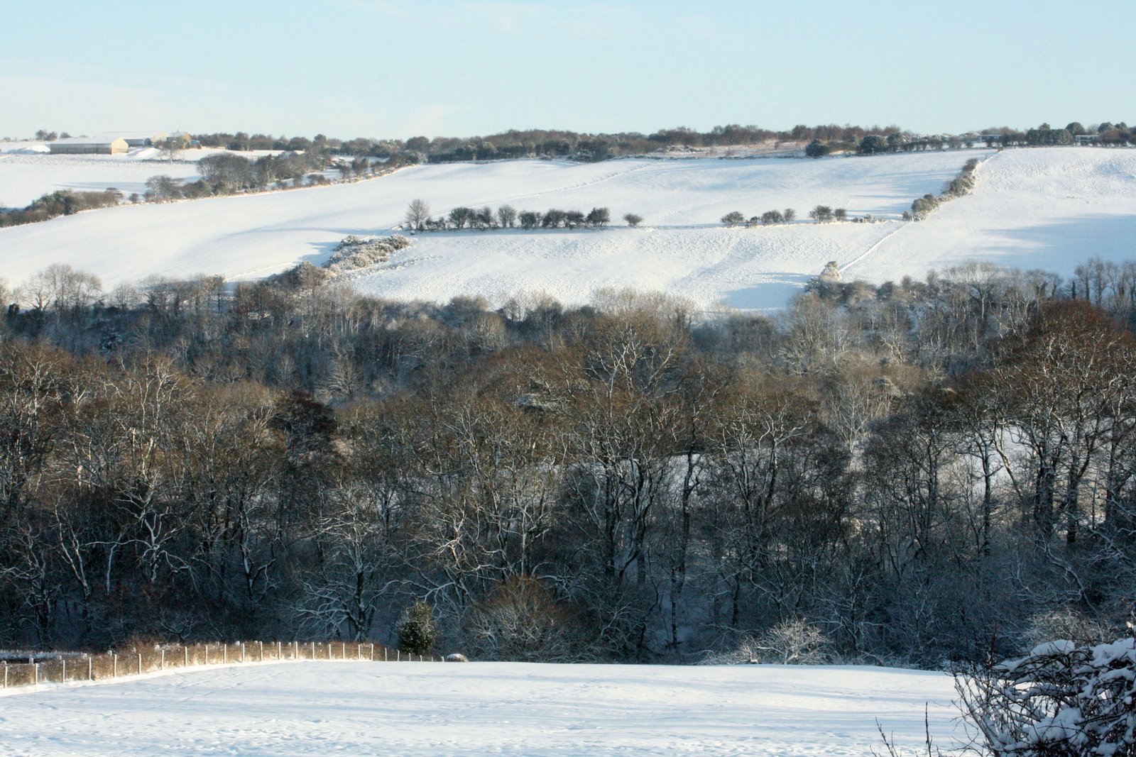 Gallery – Intake Farm