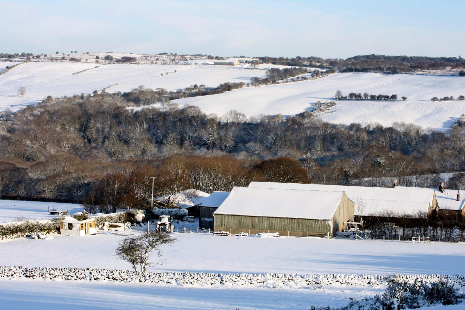 Gallery – Intake Farm