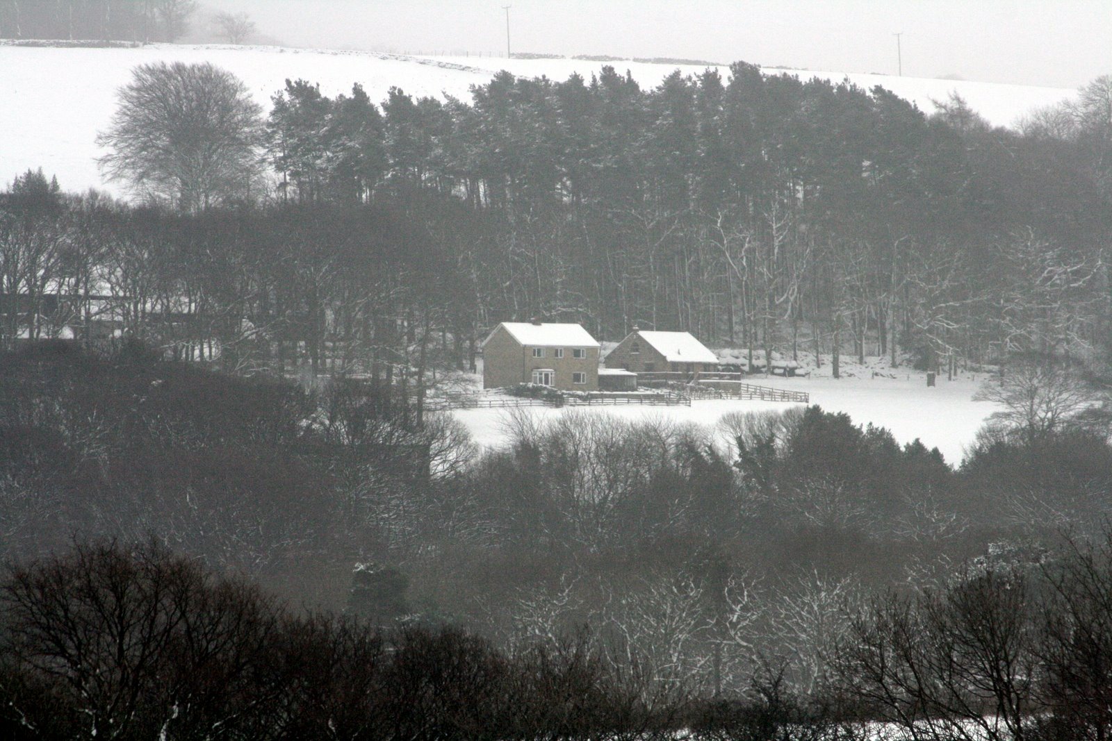 Gallery – Intake Farm