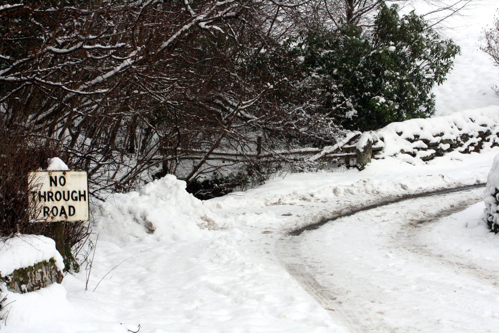 Gallery – Intake Farm