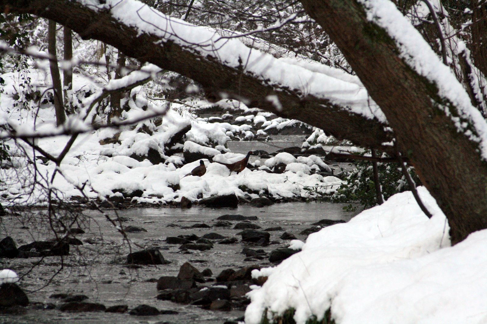 Gallery – Intake Farm