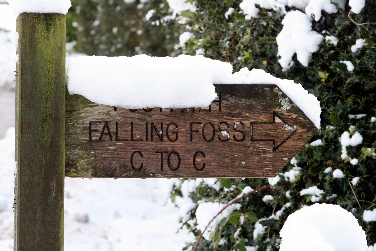 Gallery – Intake Farm