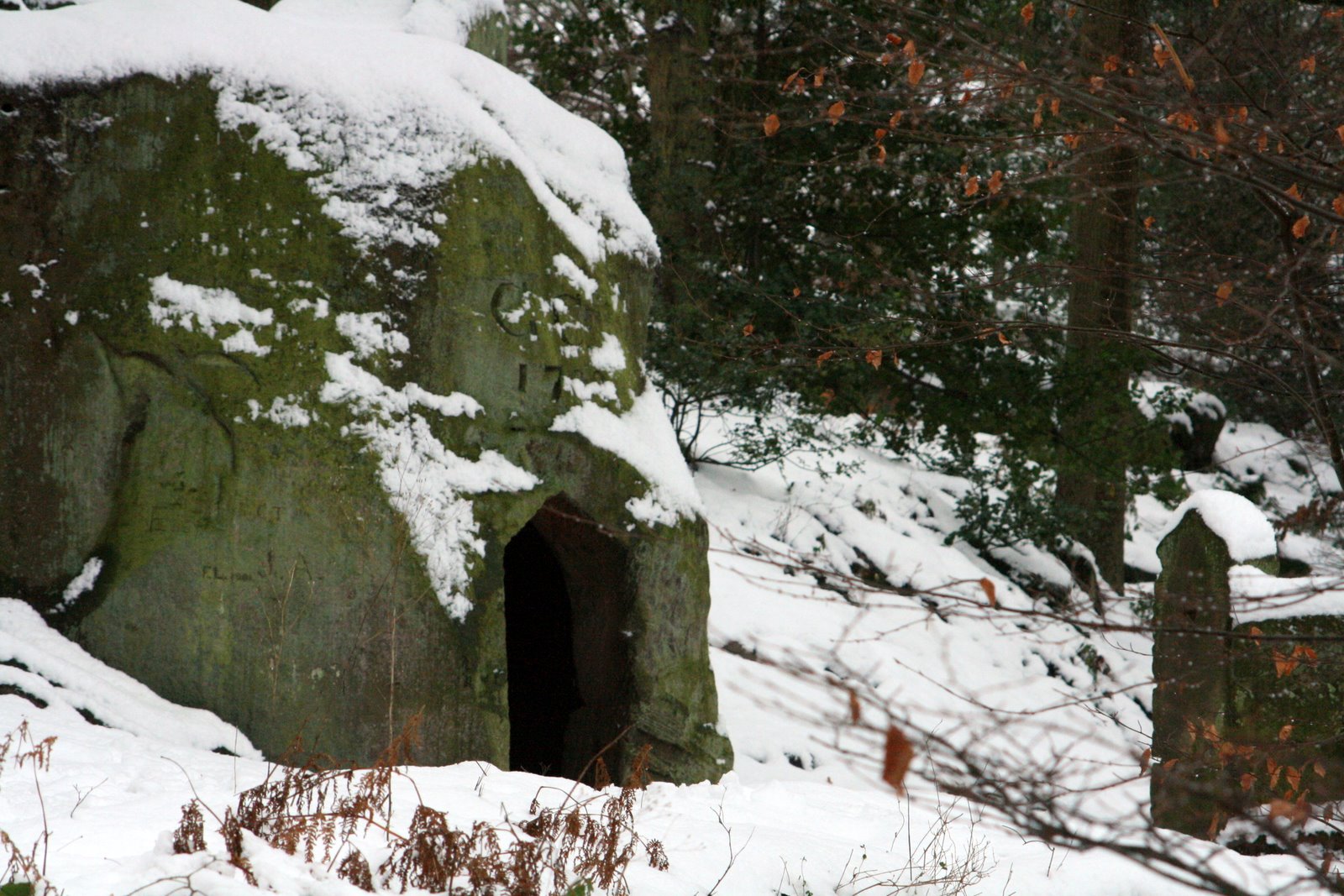 Gallery – Intake Farm