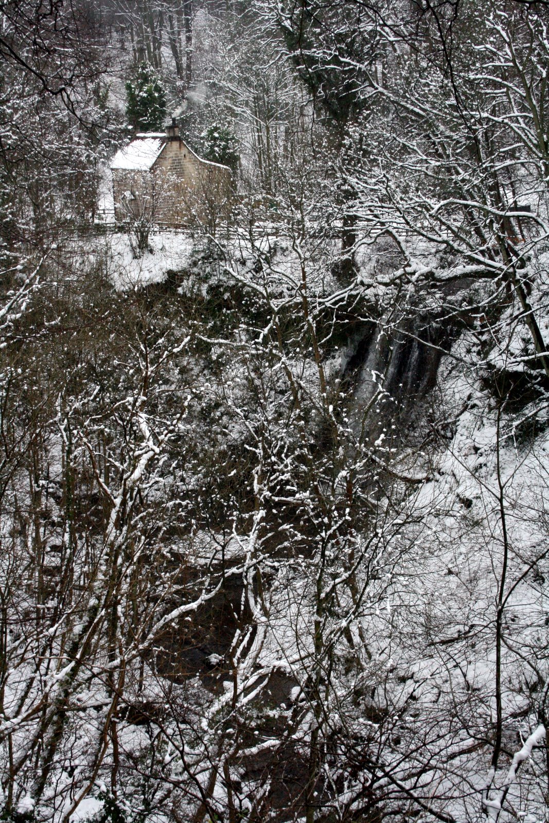 Gallery – Intake Farm