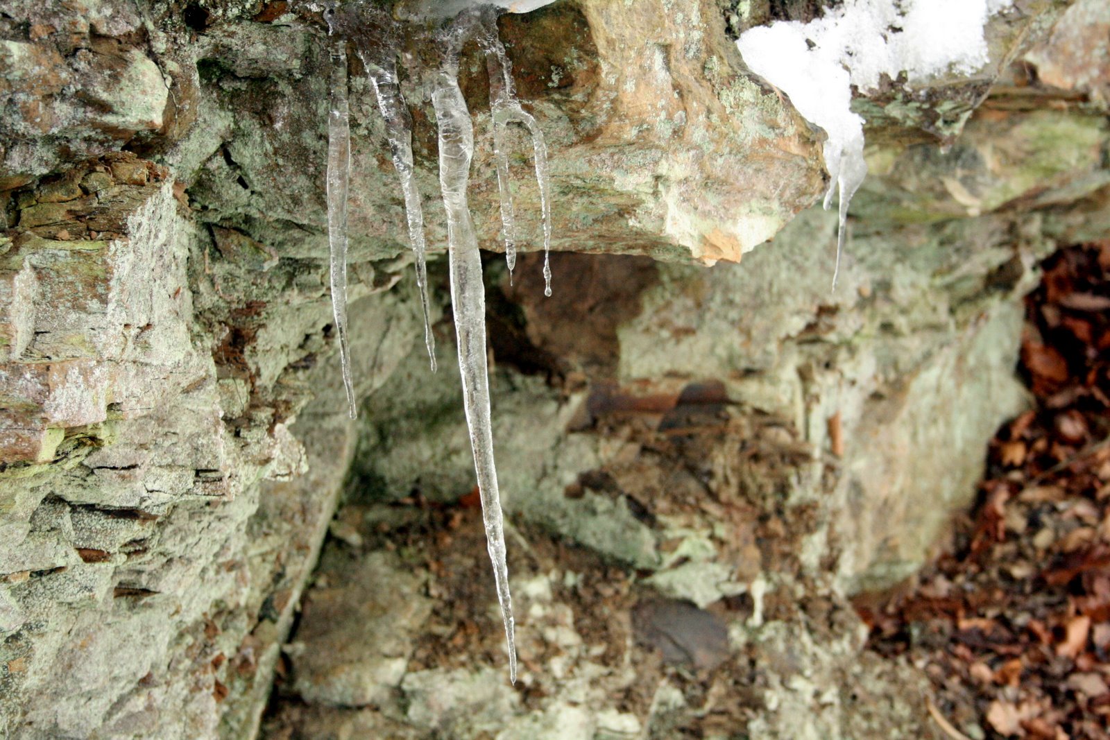 Gallery – Intake Farm