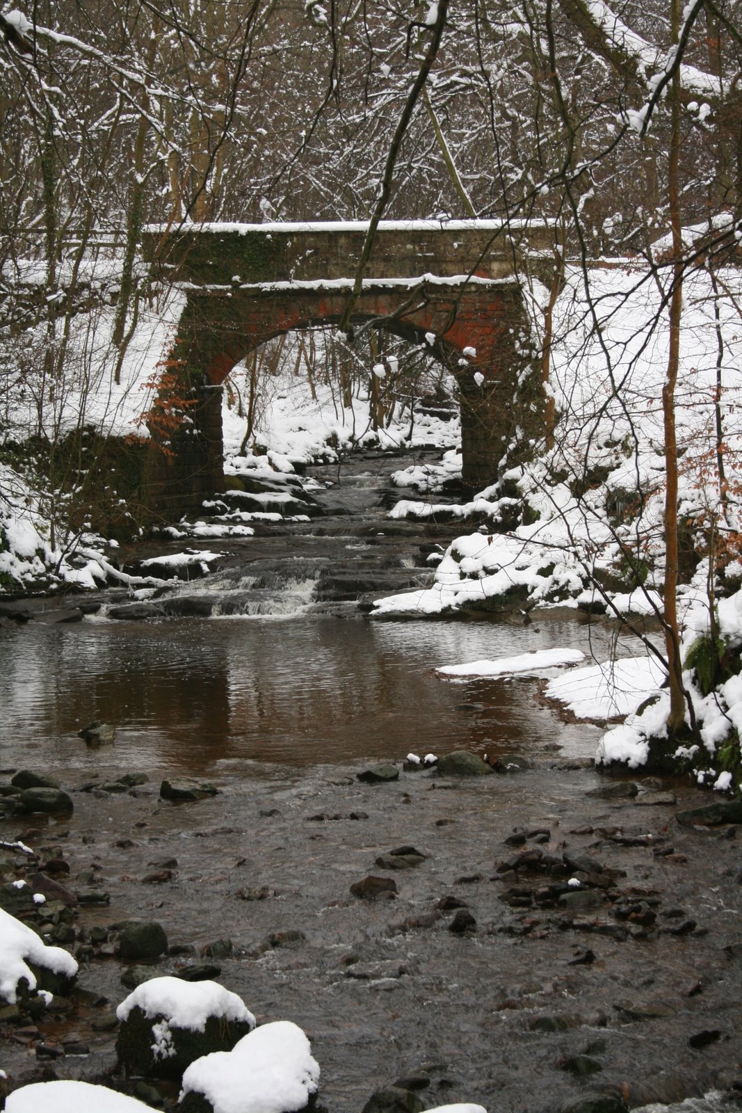 Gallery – Intake Farm