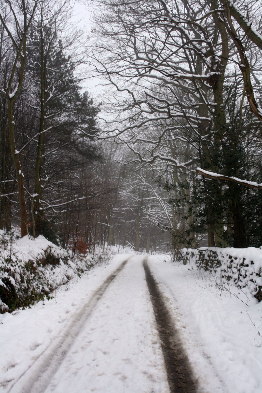 Gallery – Intake Farm