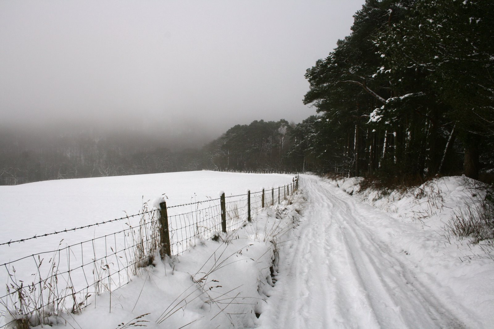 Gallery – Intake Farm